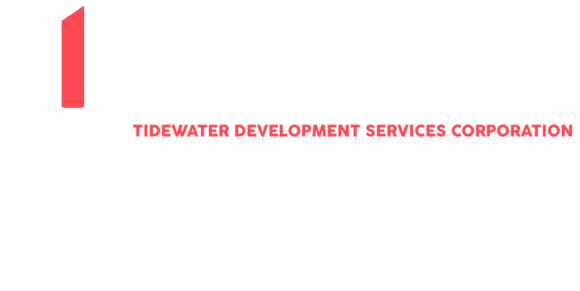 TDSC | Company History